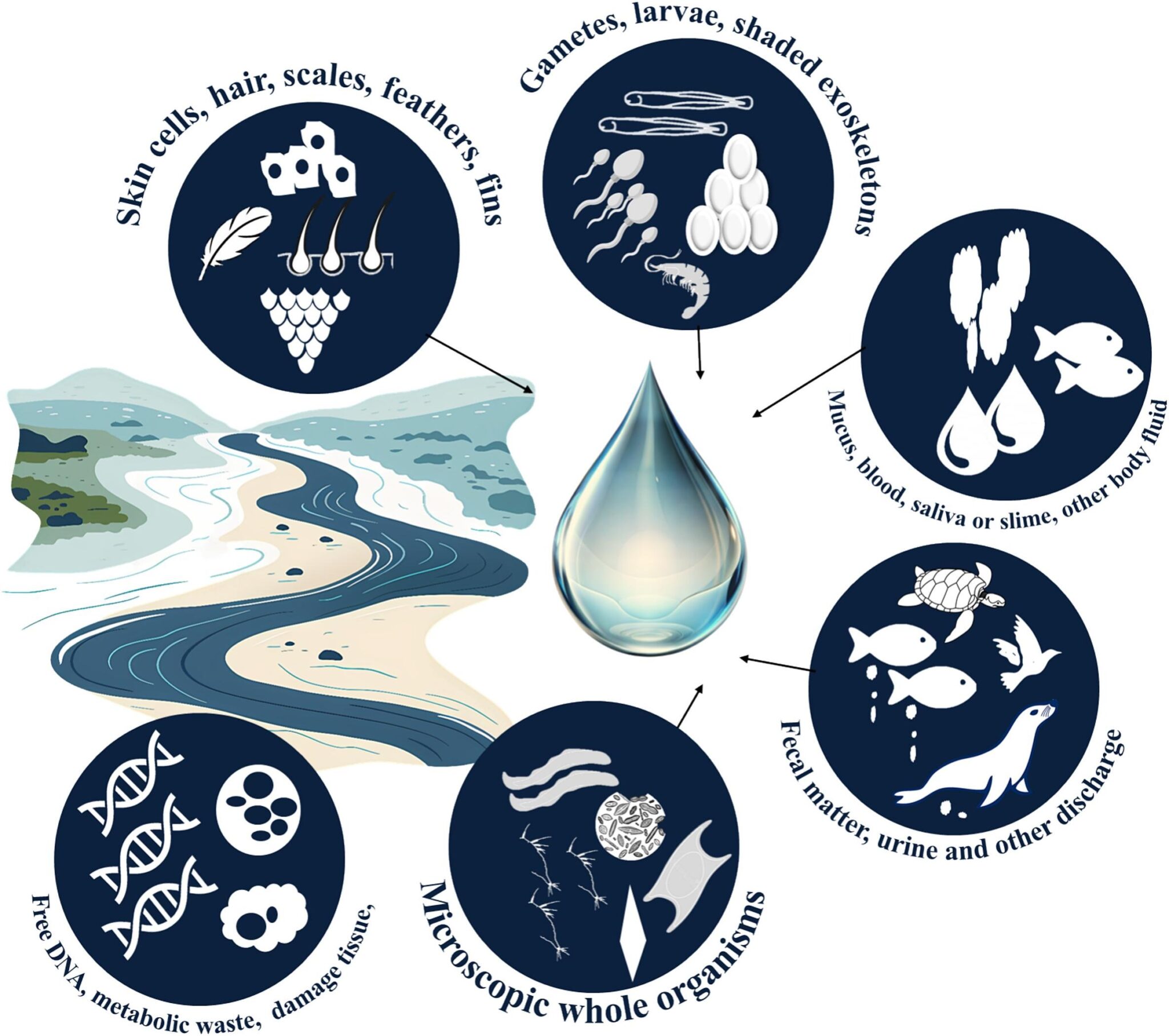 eDNA: how advances in DNA detection and sequencing are helping ...
