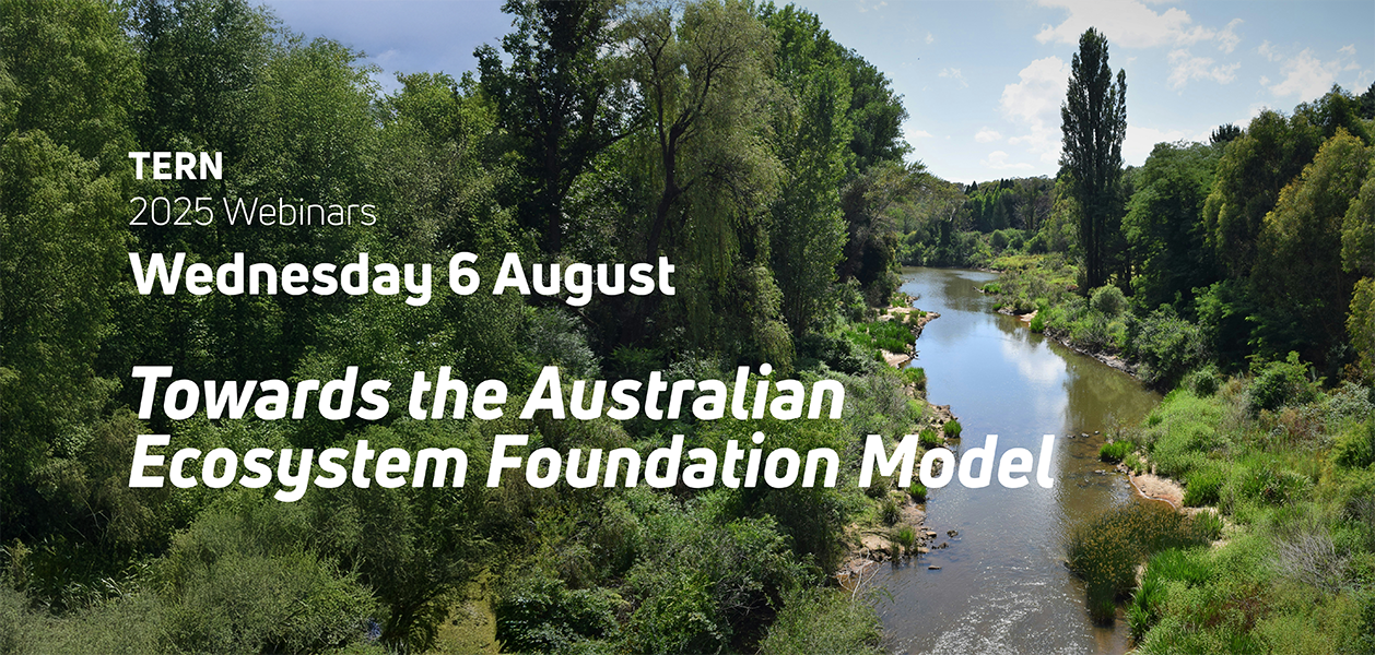 TERN Webinars | TERN