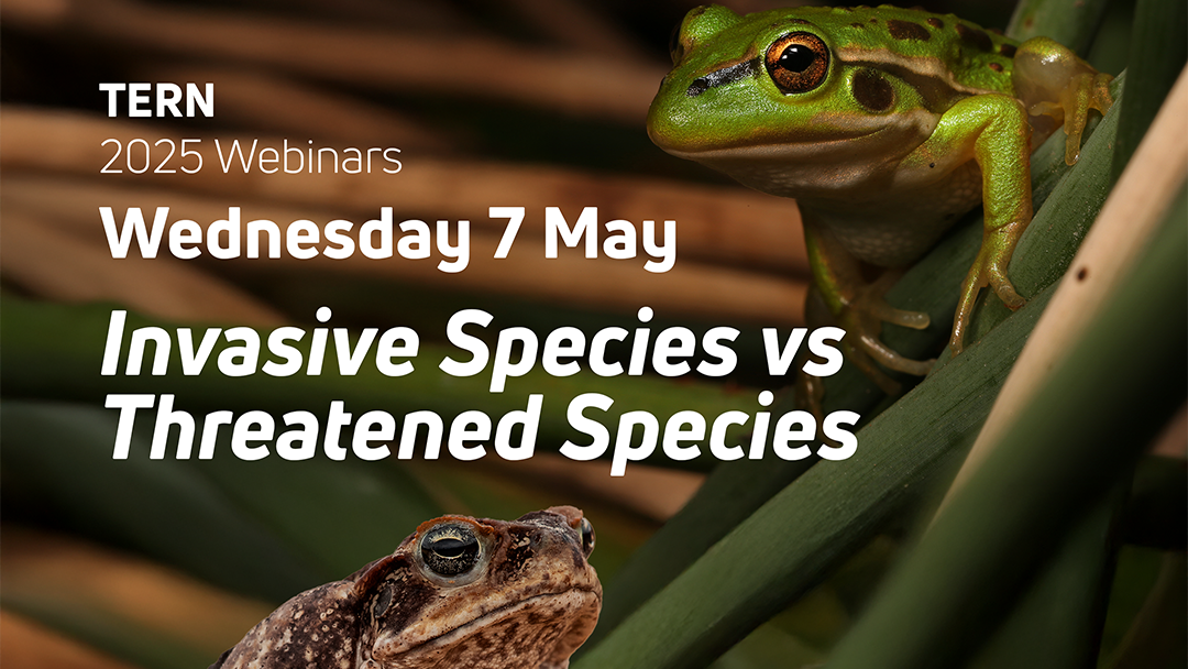 Invasive Species Vs Threatened Species | TERN Australia