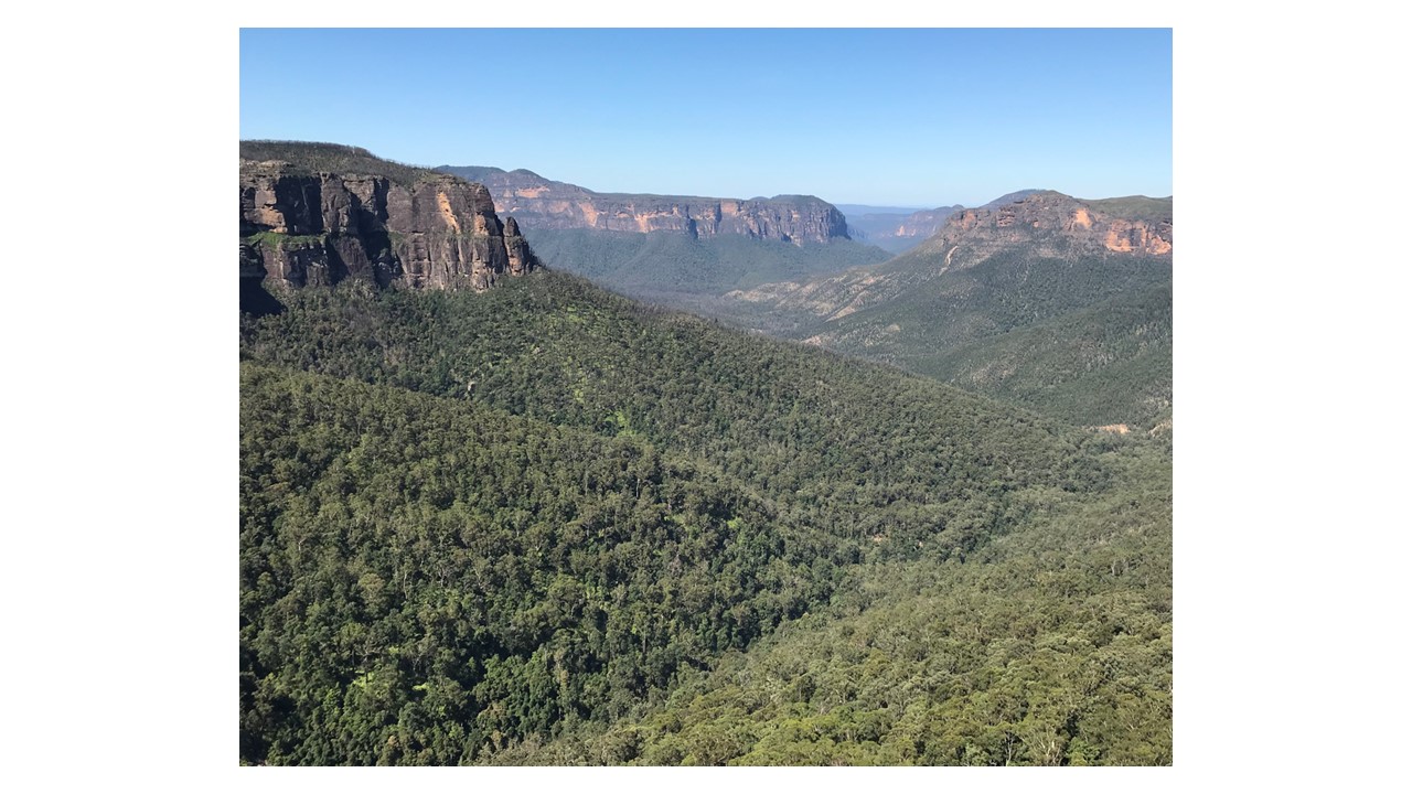 The Blue Mountains Hub for Ecology and Conservation | TERN Australia