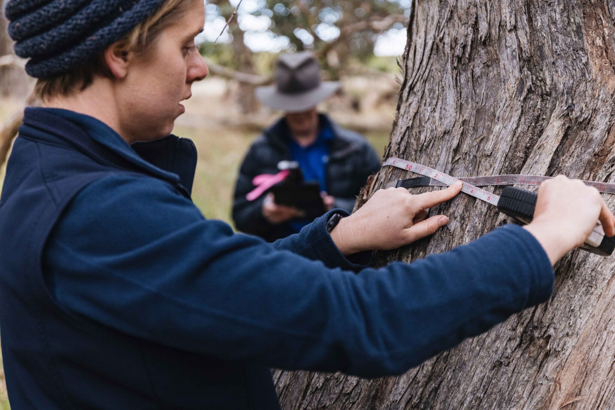 Data Collection Protocols | TERN Land Ecosystem Research Network