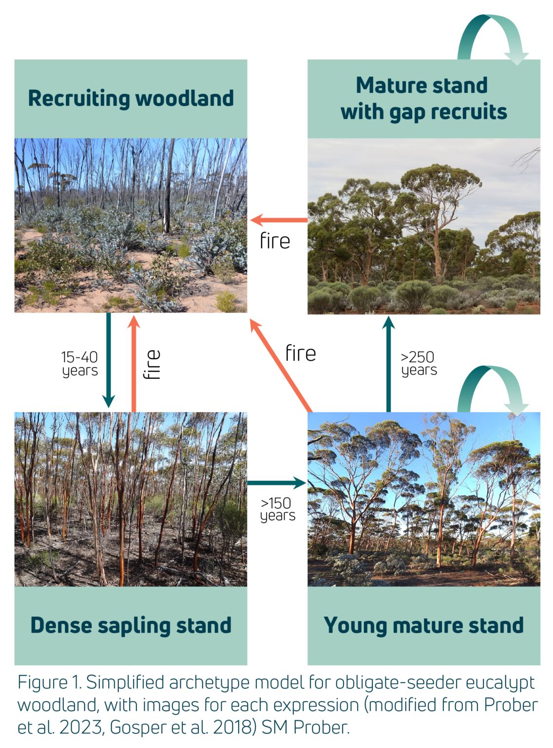 National Ecosystem Assessment System for Australia (NEASA)