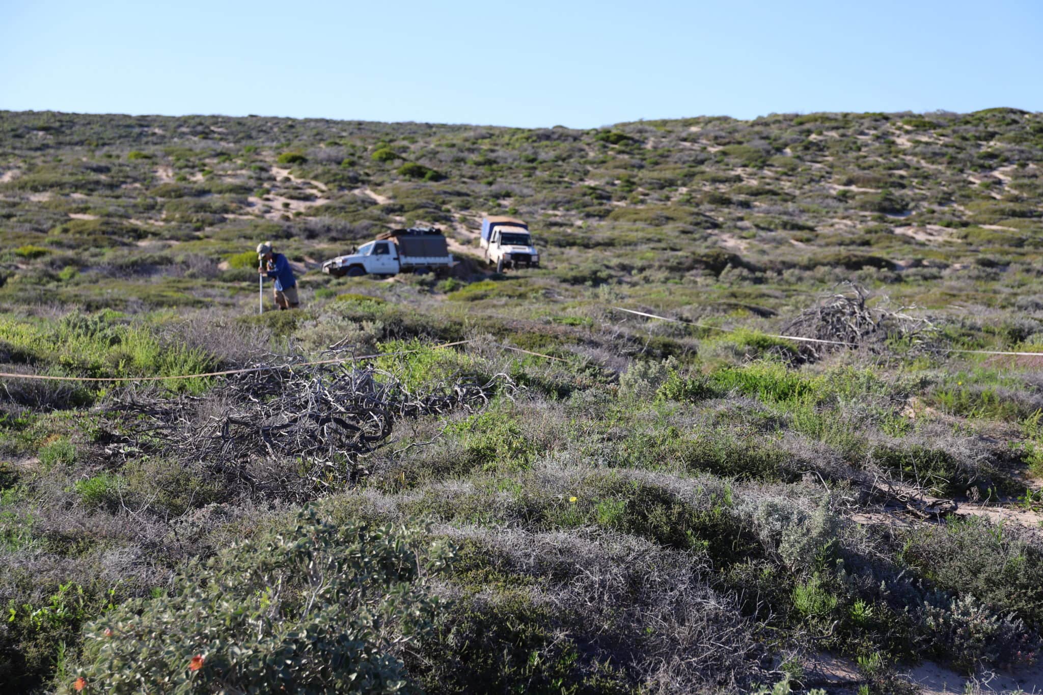Environmental Monitoring Systems - Ecosystem Observation | TERN