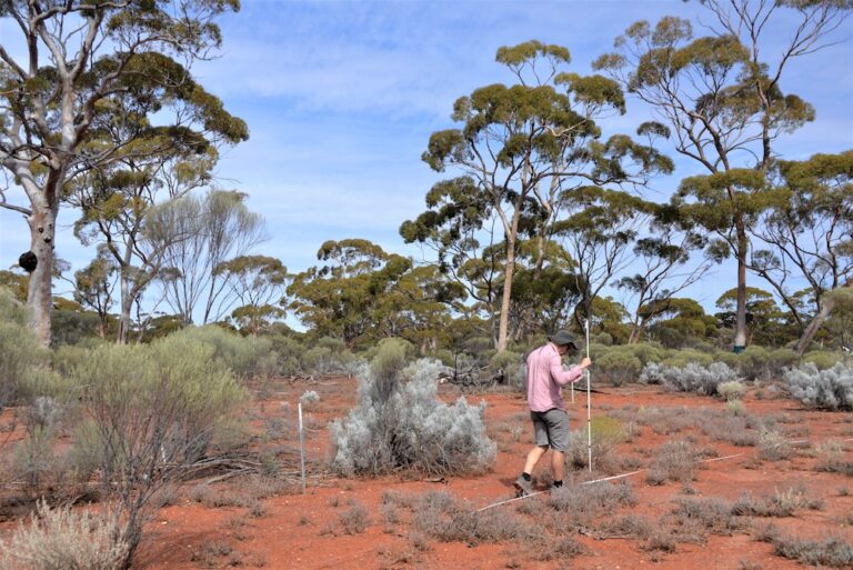 Monitoring Australia’s biodiverse west | TERN Australia