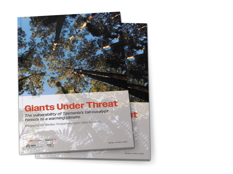 Other TERN Publications | TERN