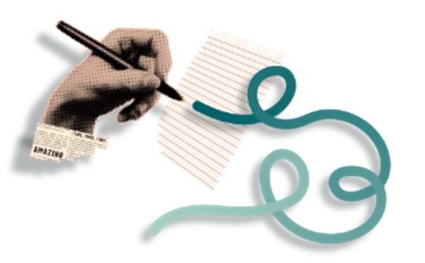 Have your say: help shape the 2026 - 2031 TERN Strategic Plan | TERN ...