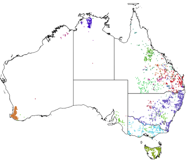 Satellite eye on Australia’s vegetation | TERN Australia